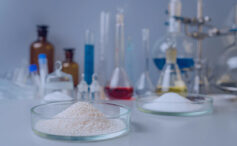 Development Services - LAXAI